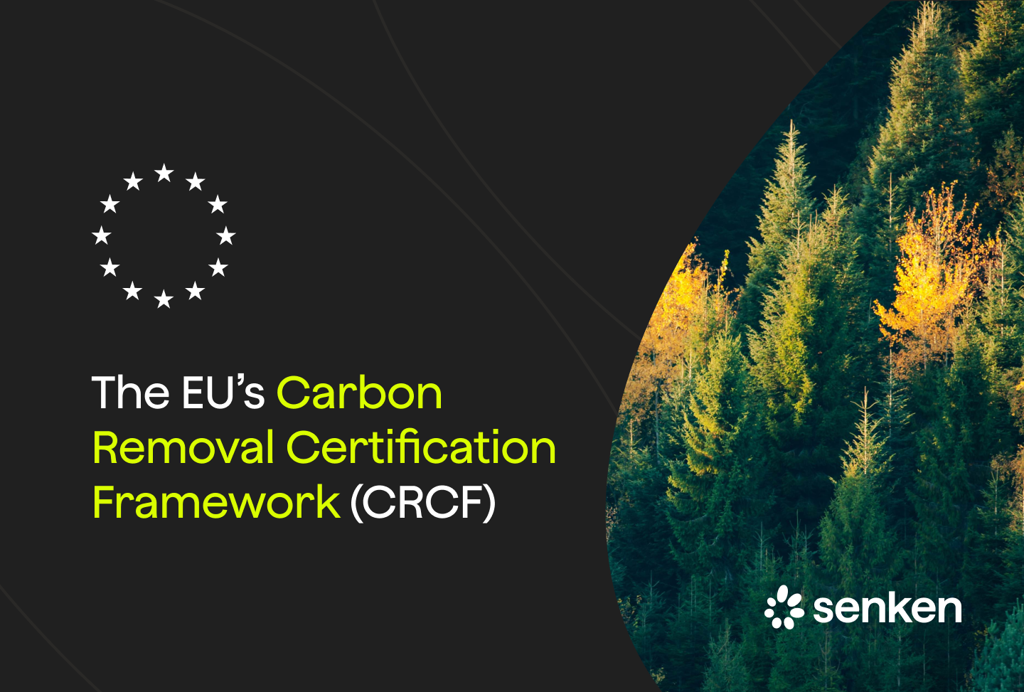 Understanding the EU's new Carbon Removal Certification Framework Understanding the EU's new Carbon Removal Certification Framework